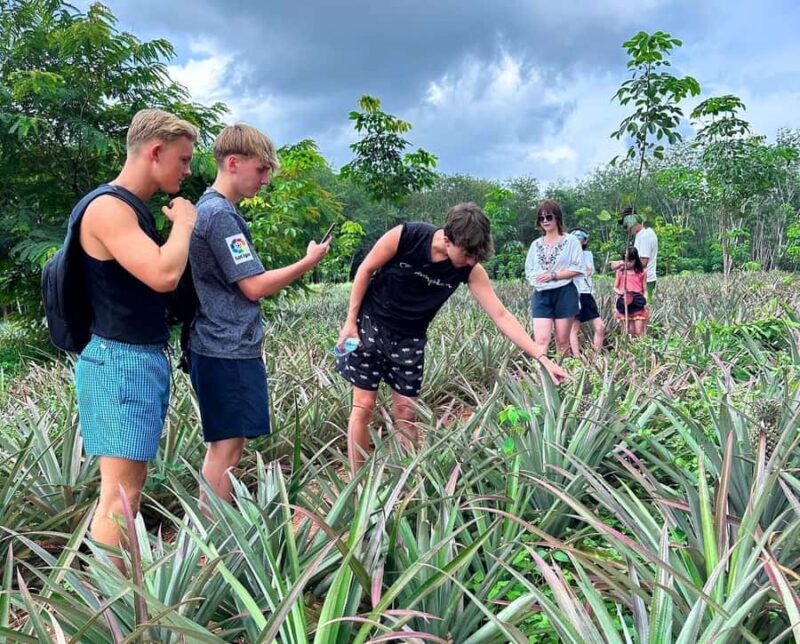 Ao Nang: Crystal Pool Kayaking, ATV, and Pineapple Farm Tour - The Sum Up: Is This Tour Worth It?