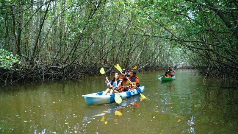 Ao Nang: Kayak Tour in Krabi Mangrove Forest with Lunch - Exploring Krabi’s Mangrove Forest by Kayak: A Review