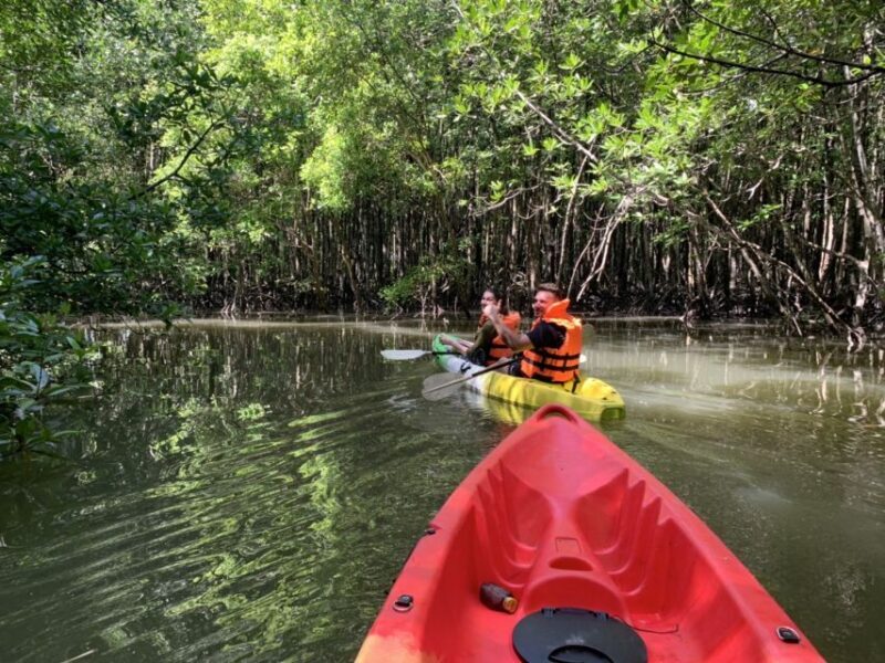 Ao Nang: Kayak Tour in Krabi Mangrove Forest with Lunch - What’s Included and What’s Not