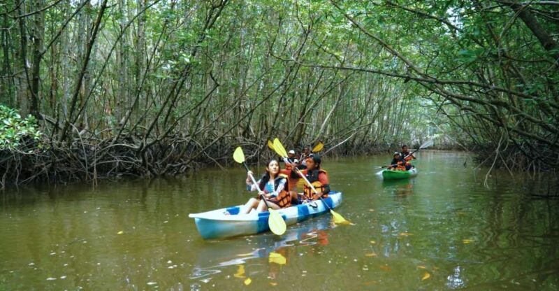 Ao Nang: Kayak Tour in Krabi Mangrove Forest with Lunch - FAQ