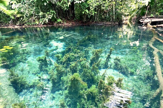 Ao Nang Kayaking at Klong Rud with Hotel Transfer - The Experience: Breaks Down the Itinerary