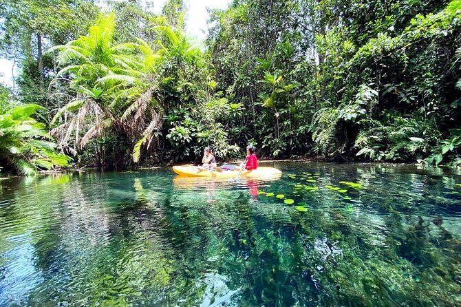Ao Nang Kayaking at Klong Rud with Hotel Transfer - Authenticity and Potential Drawbacks