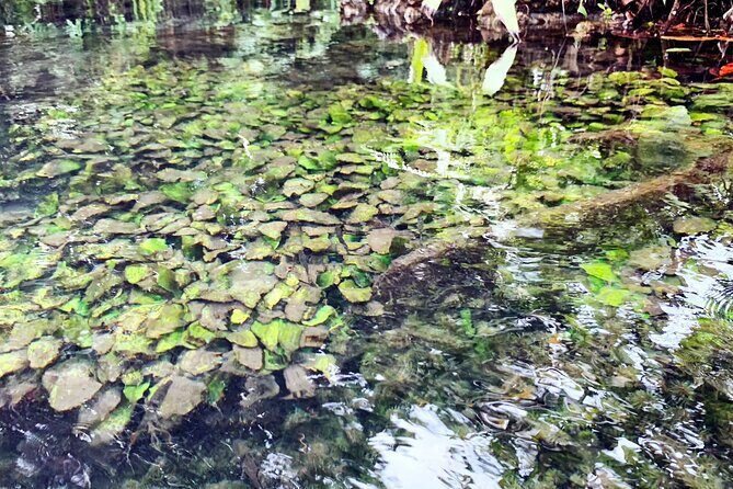 Ao Nang Kayaking at Klong Rud with Hotel Transfer - Final Thoughts: Is It Worth It?