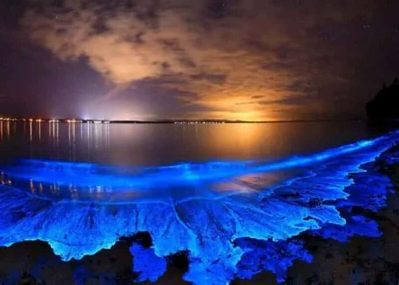 Ao Nang Night Tour  Swim with bioluminescent plankton - Practical Tips for Your Trip