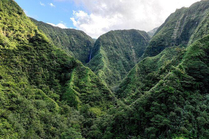 AOA Polynesian Forests - Hiking Sanctuary Biodiversity Tahiti - An In-Depth Look at the Tahiti Biodiversity Tour