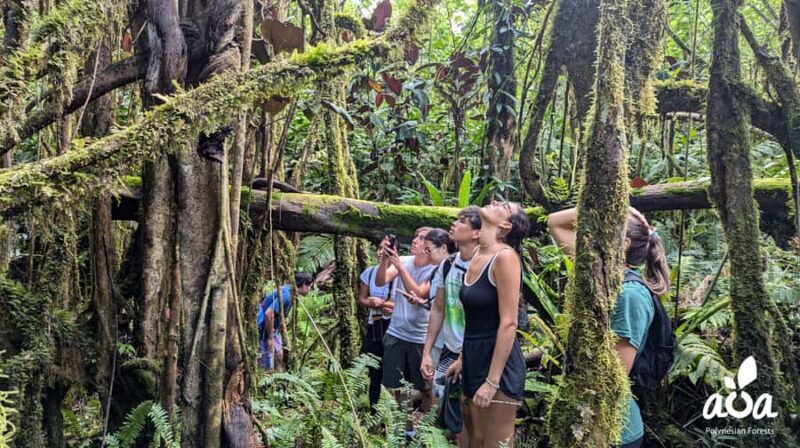 AOA Polynesian Forests - Tahiti Biodiversity Sanctuary Hike - FAQs