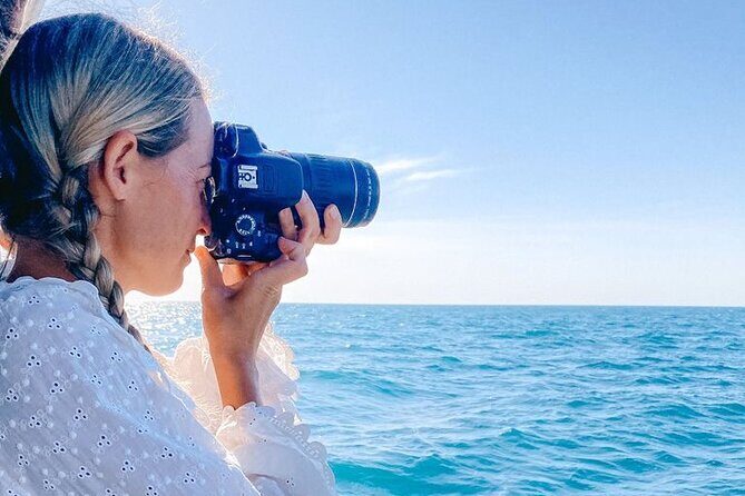 AOC Whale Watching from Broome - The Experience: A Detailed Overview