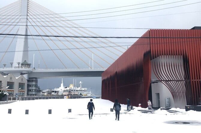 Aomori Full-Day Private Tour with Licensed Guide - What Makes This Tour Stand Out?