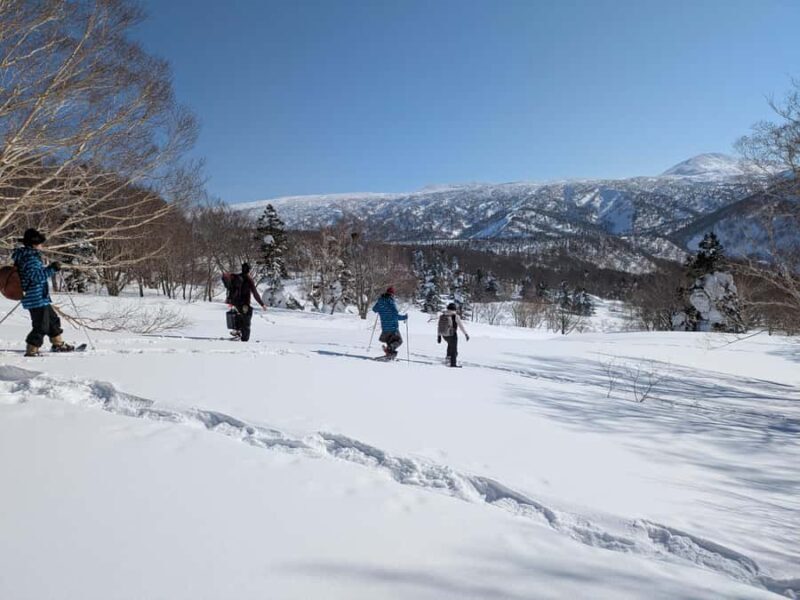 Aomori: Hakkoda Snowshoe Adventure with Guide - Exploring Hakkoda on Snowshoes: An In-Depth Review