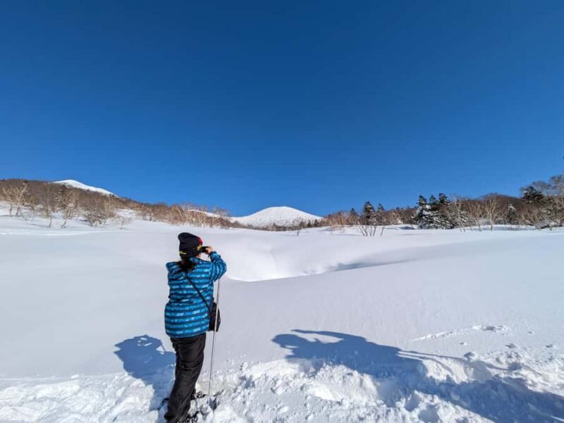 Aomori: Hakkoda Snowshoe Adventure with Guide - The Itinerary in Detail