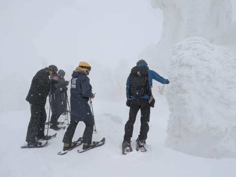 Aomori: Hakkoda Snowshoe Adventure with Guide - FAQ