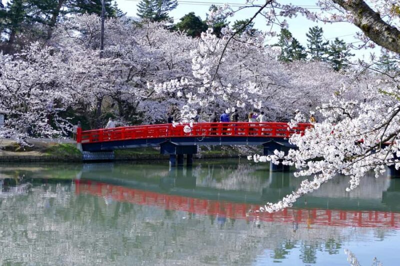 Aomori: Hirosaki Private Shore Excursion for cruise guest - Analyzing the Value