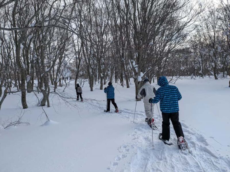 AOMORI: Snowshoe Adventure & Winter Bites at Sukayu - What the Journey Tells You About Life in Aomori