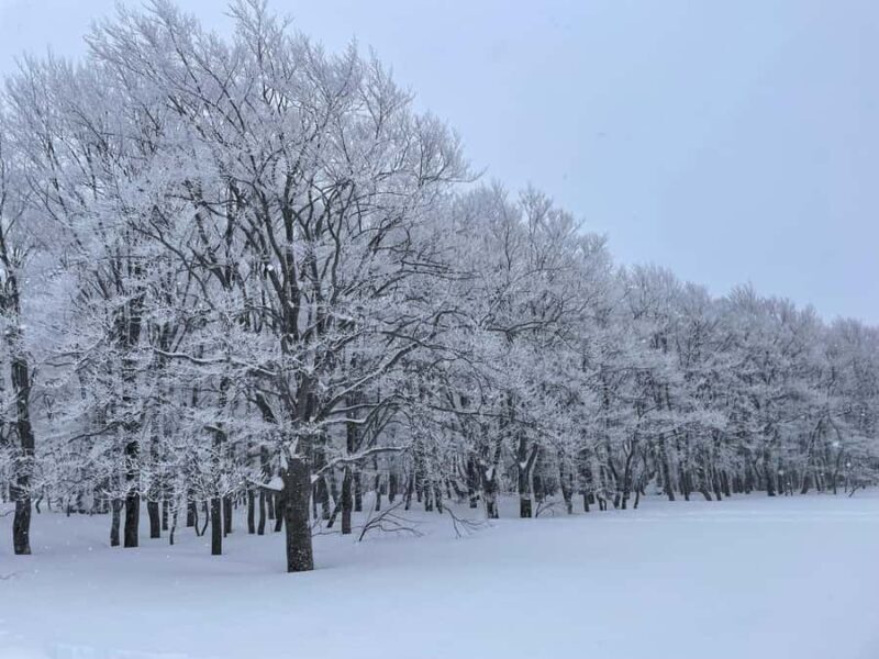 AOMORI: Snowshoe Adventure & Winter Bites at Sukayu - Frequently Asked Questions
