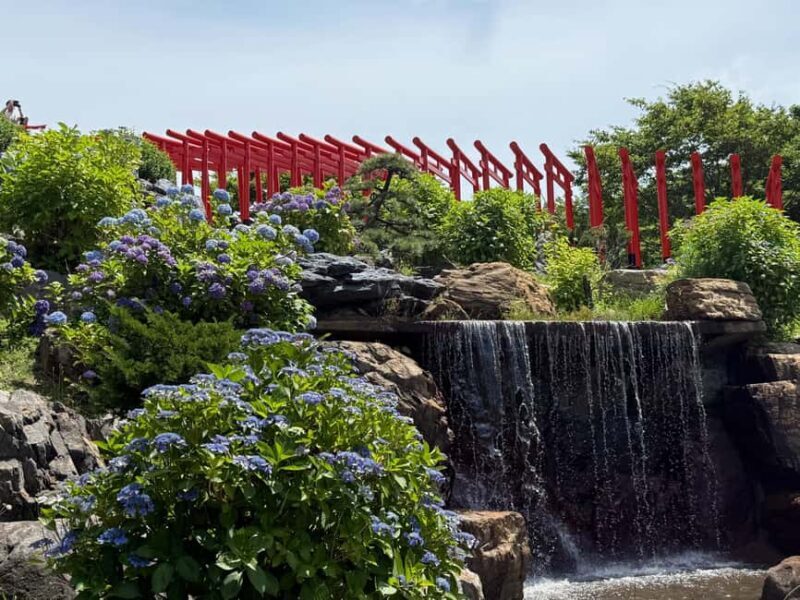 Aomori: Takayama Inari Shrine and Jomon Museum Tour - Introduction: What You Can Expect from This Tour