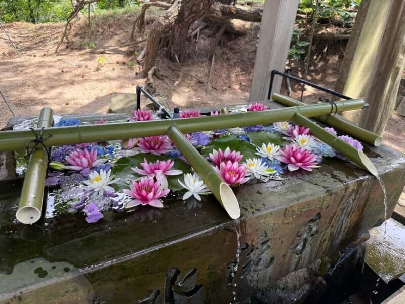 Aomori: Takayama Inari Shrine and Jomon Museum Tour - The Practical Side: Logistics, Value, and Considerations