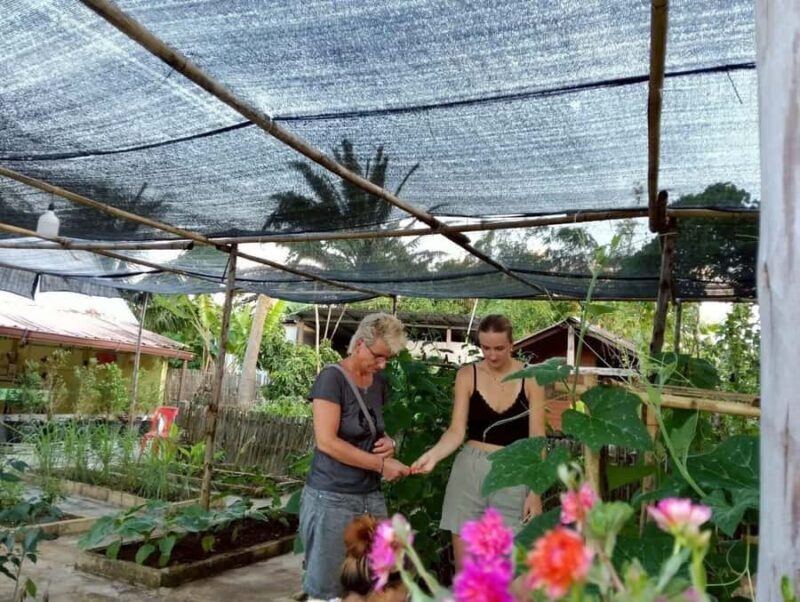 Aonang: Thai Cooking Class with Market & Kitchen Garden Tour - Who Will Love This Experience?