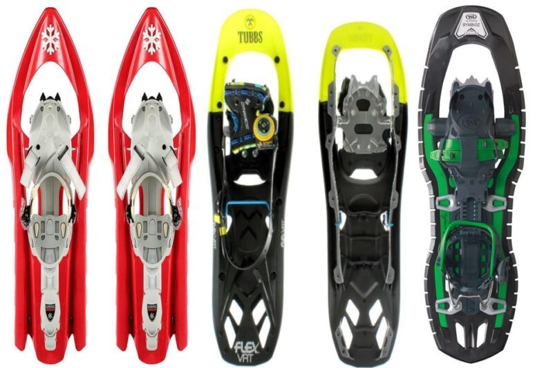 Aosta Valley: Snowshoe Lessons in Enchanted Winter Forests - Key Points