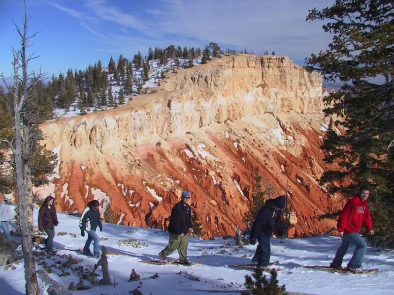 Aosta Valley: Snowshoe Lessons in Enchanted Winter Forests - The Heart of the Experience: Exploring Snowy Forests in the Aosta Valley
