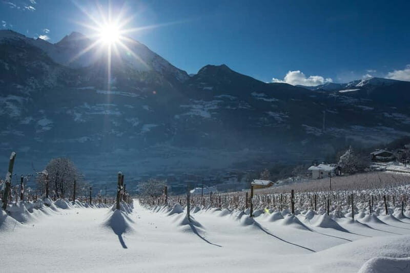 Aosta Valley: Visit and wine tasting at the Grosjean winery - An In-Depth Look at the Grosjean Winery Tour