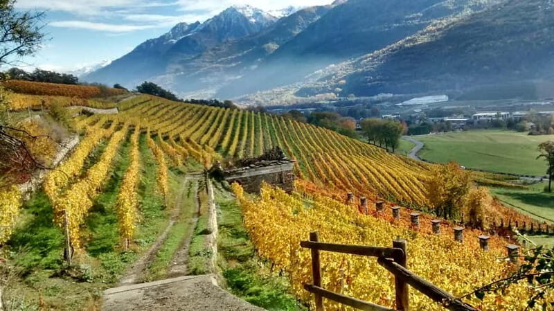 Aosta Valley: Visit and wine tasting at the Grosjean winery - Summary: Who Will Love This Tour?