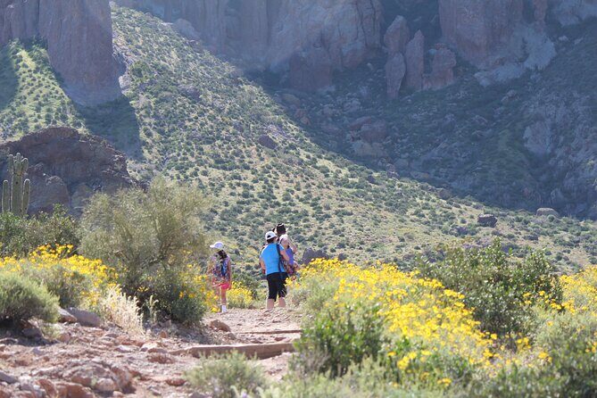 Apache Trail Private Half-Day Tour - Analyzing the Value