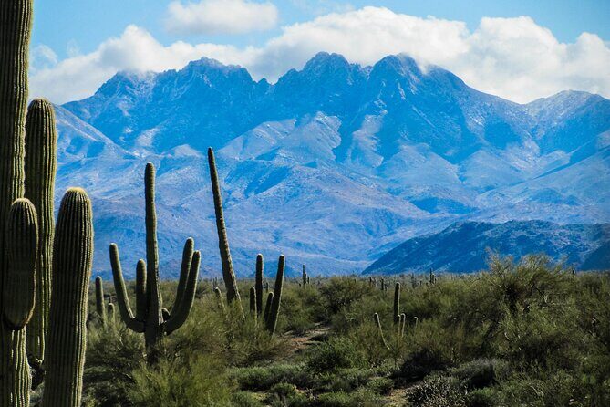 Apache Trail Private Half-Day Tour - Who Is This Tour Best For?