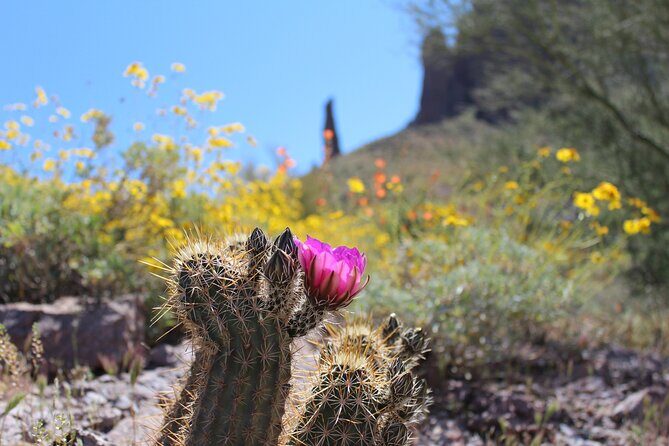 Apache Trail Private Half-Day Tour - The Sum Up: Is It Worth It?