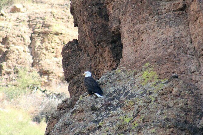 Apache Trail with Dolly Steamboat - The Highlight: Dolly Steamboat on Canyon Lake