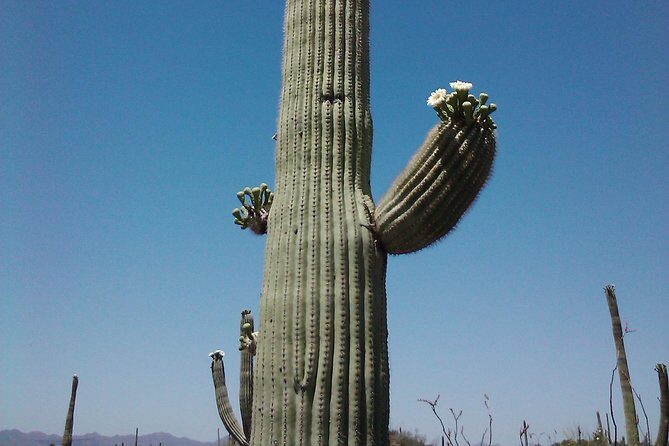 Apache Trail with Dolly Steamboat - The Guides: Knowledge and Friendliness Matter