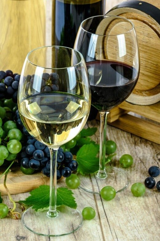 Aperitive guided cruise « Wine and Canelé » - The Sum Up