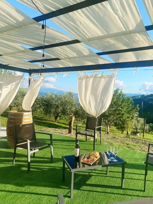 Aperitivo e degustazione di vini in vigna alla Cantina Sacco - An In-Depth Look at the Experience