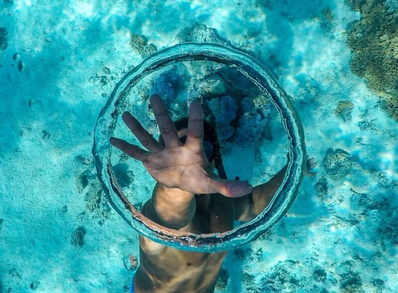 Apetahi day trip around Raiatea on a modern outrigger canoe - Scenic and Cultural Stops