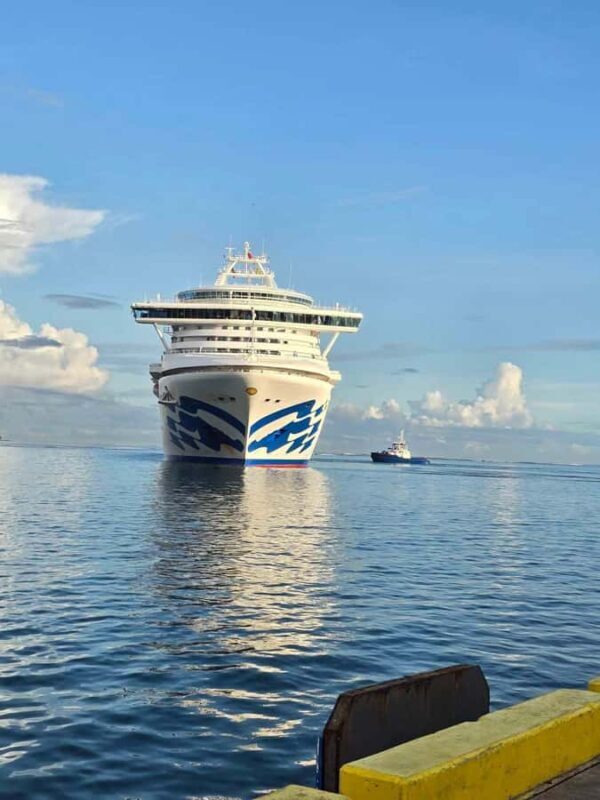 Apia Port: Cruise Guests Shore Excursion - Key Points