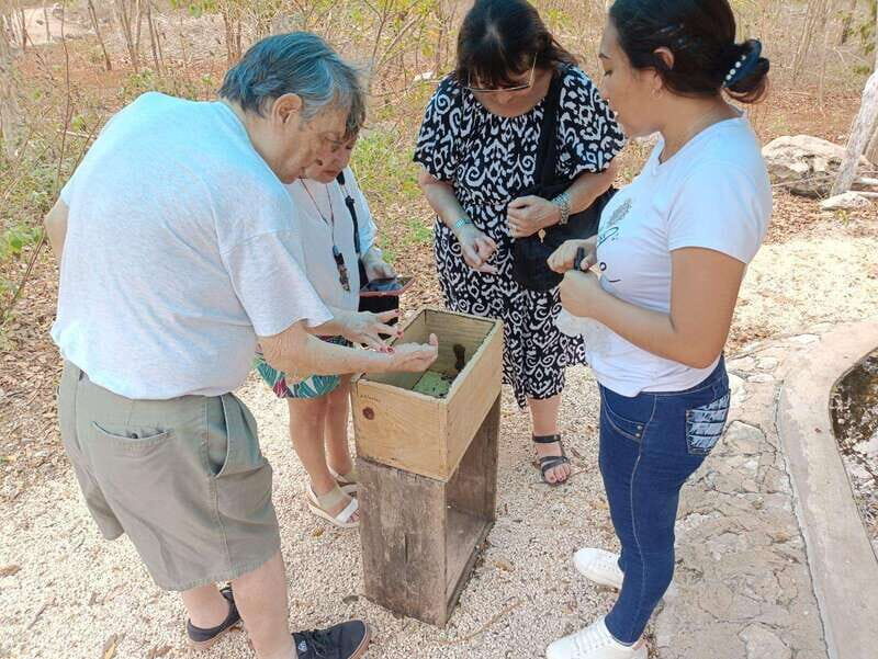 Apiary Tour (Bee tour) also Archeological site and salt Pond - Discovering the Apiary Tour: What You Can Expect