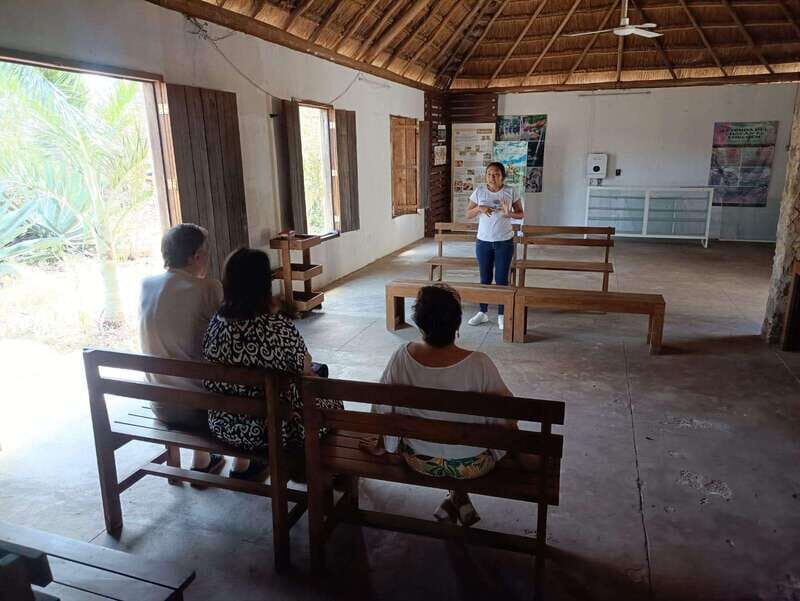 Apiary Tour (Bee tour) also Archeological site and salt Pond - Why This Tour Stands Out