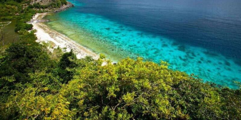 Apo Island Wonders: Snorkel with Sea Turtles in Dumaguete - Who Will Love This Tour?