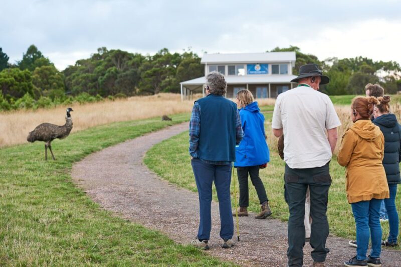 Apollo Bay: Dusk Discovery Great Ocean Road Wildlife Tour - The Sum Up