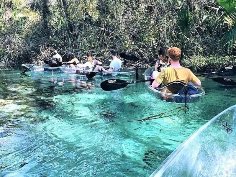 Apopka: Rock Springs Clear Kayak Tour - Key Points