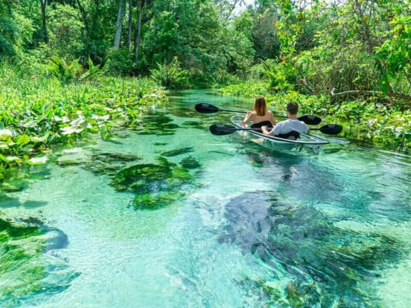 Apopka: Rock Springs Clear Kayak Tour - FAQ