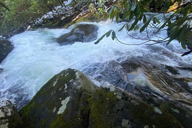 Appalachian Waterfalls Hike - Discovering the Appalachians: What the Experience Offers
