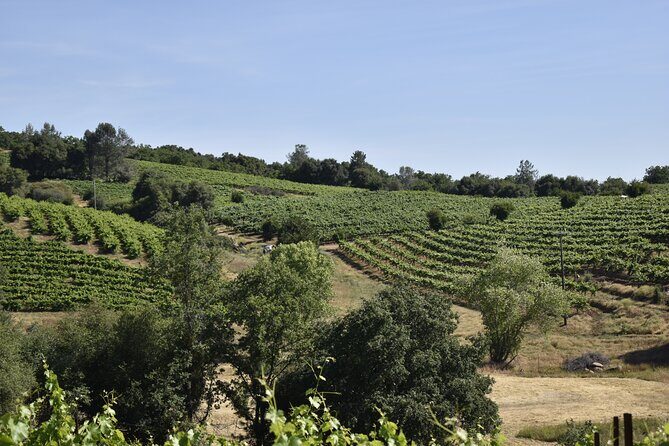 Apple Hill Wine Tasting Tours And Placerville wine tasting tours - Analyzing the Value