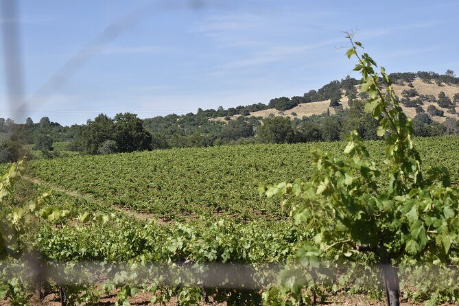 Apple Hill Wine Tasting Tours And Placerville wine tasting tours - FAQs