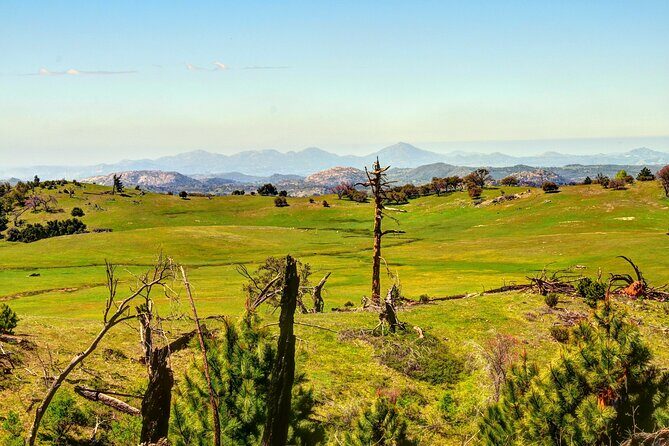 Apple Pies & Desert Skies: A Self-Guided Driving Tour - Real User Experiences