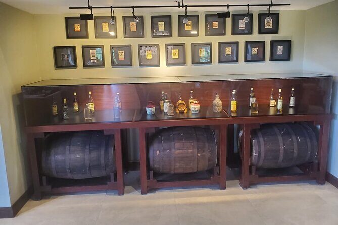 Appleton Estate and Southcoast Experience - An In-Depth Look at the Tour Experience