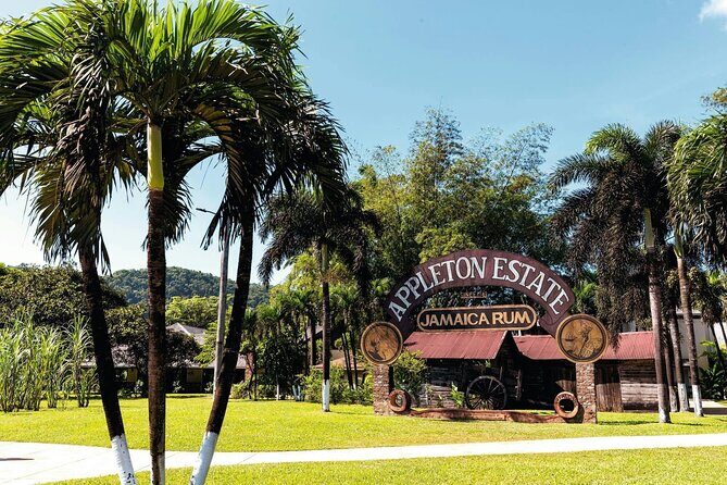 Appleton Estate and Southcoast Experience - Real Traveler Feedback