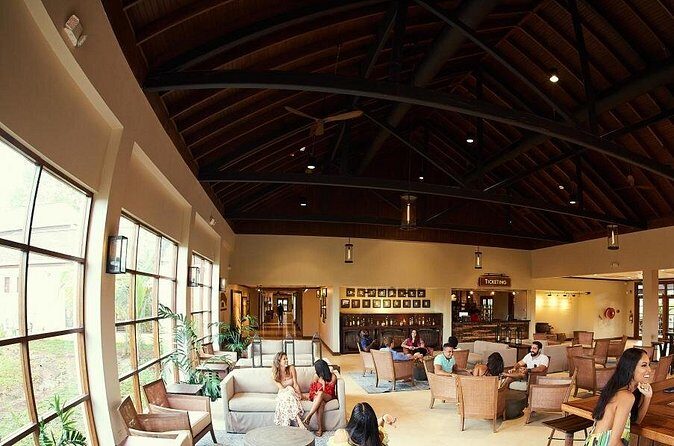 Appleton Estate From Ocho Rios - Exploring the Appleton Estate: An In-Depth Look