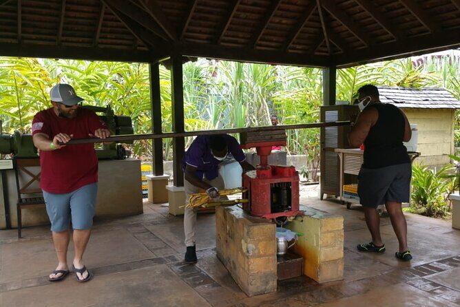 Appleton Estate Rum Tour and Pelican Bar Customize Tour - A Complete Look at the Experience