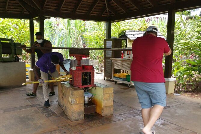 Appleton Estate Rum Tour and Pelican Bar Customize Tour - The Sum Up