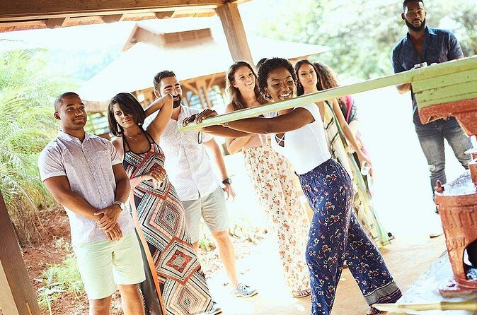 Appleton Estate Rum Tour and Tasting from Kingston - Final Thoughts: Who Will Love This Tour?